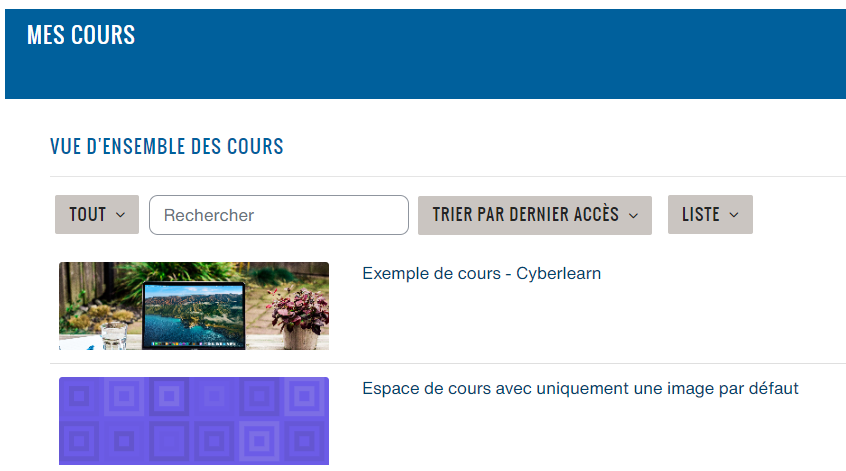 Support - Types d'inscription | Cyberlearn